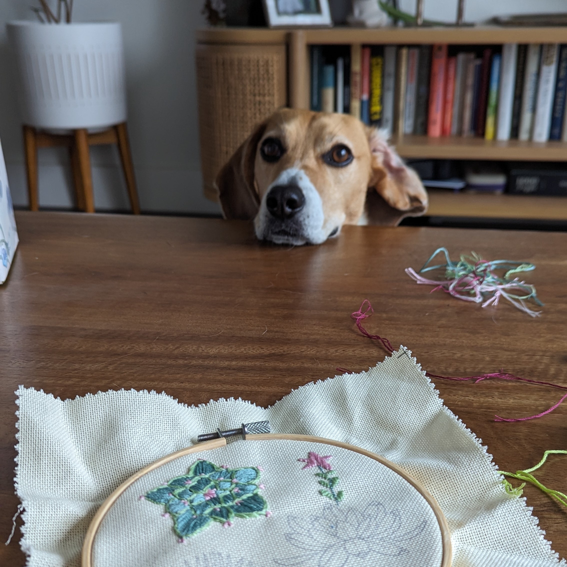 Meet Emma Swanson, GIS Analyst | FLO Analytics